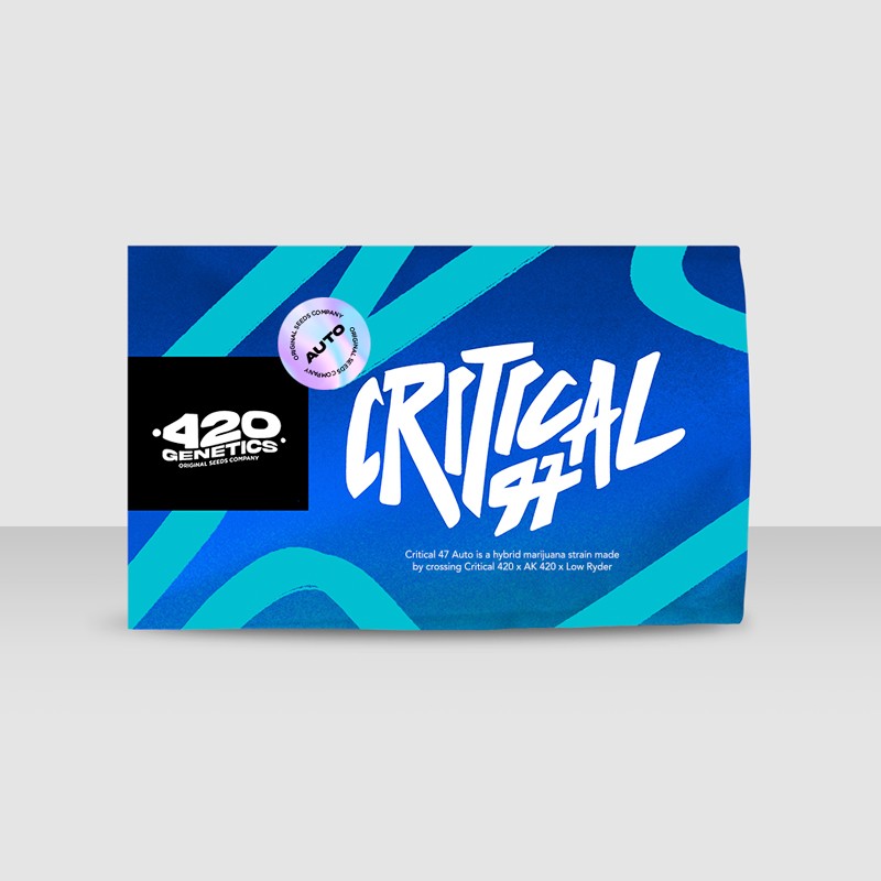 Critical 47 Auto 4:20 7 Semillas – La Juana Growshop